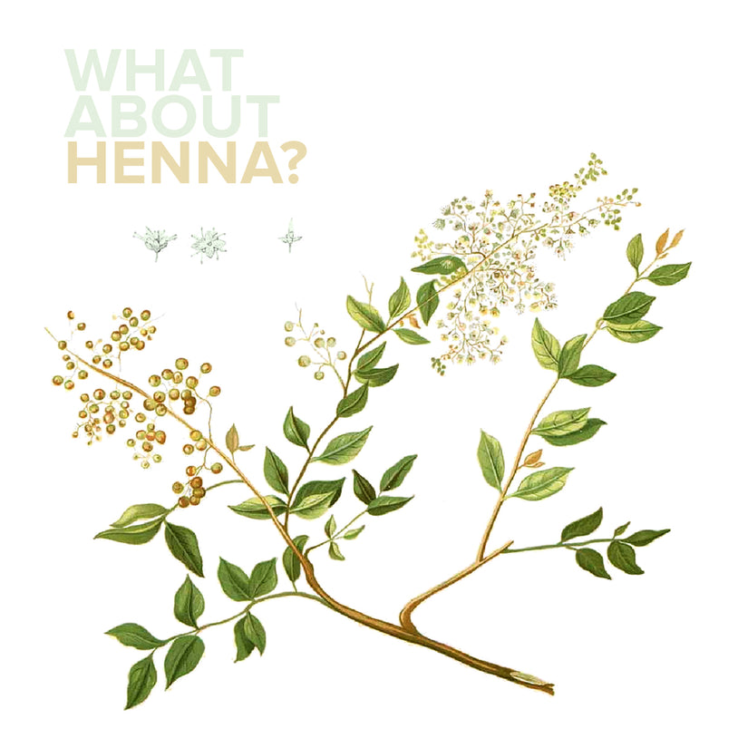 WHAT ABOUT HENNA? – Hairprint